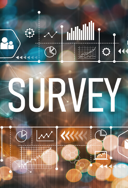 Survey Services - Vehicular & Manual Surveys | AABSyS